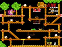 Chameleon - Arcade - Games Database