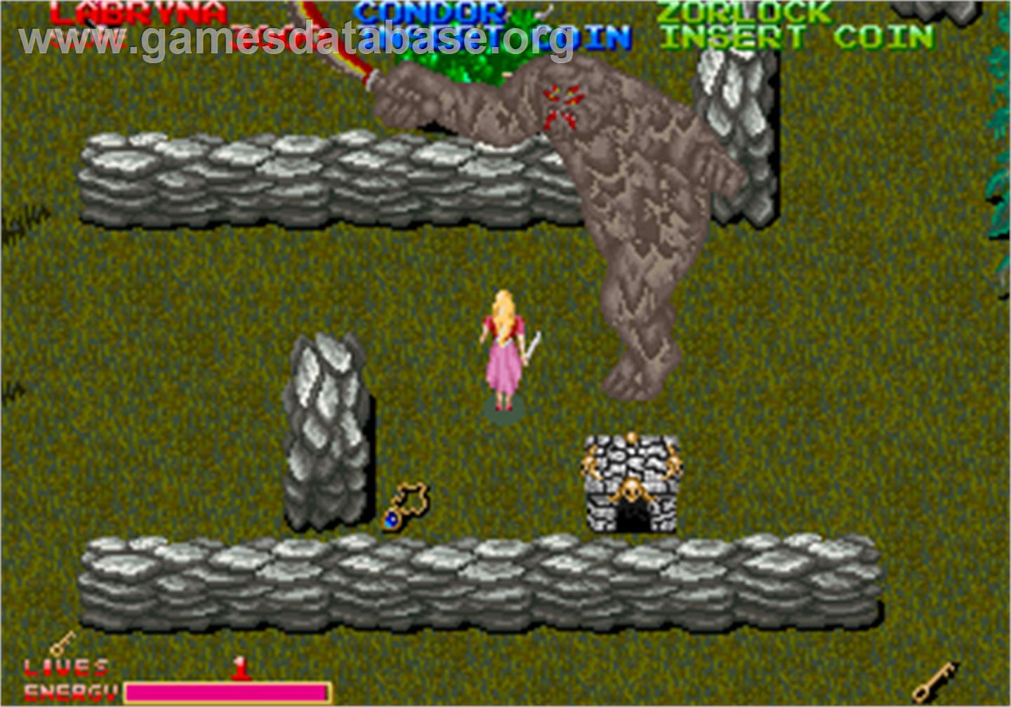 Dark Adventure - Arcade - Artwork - In Game