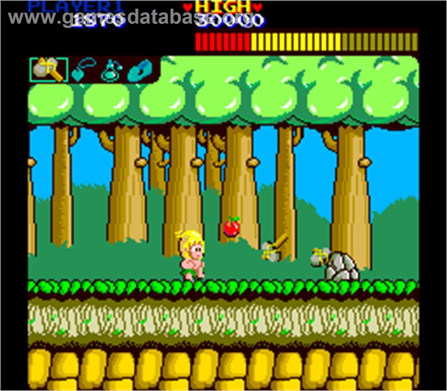 Wonder Boy Deluxe - Arcade - Artwork - In Game