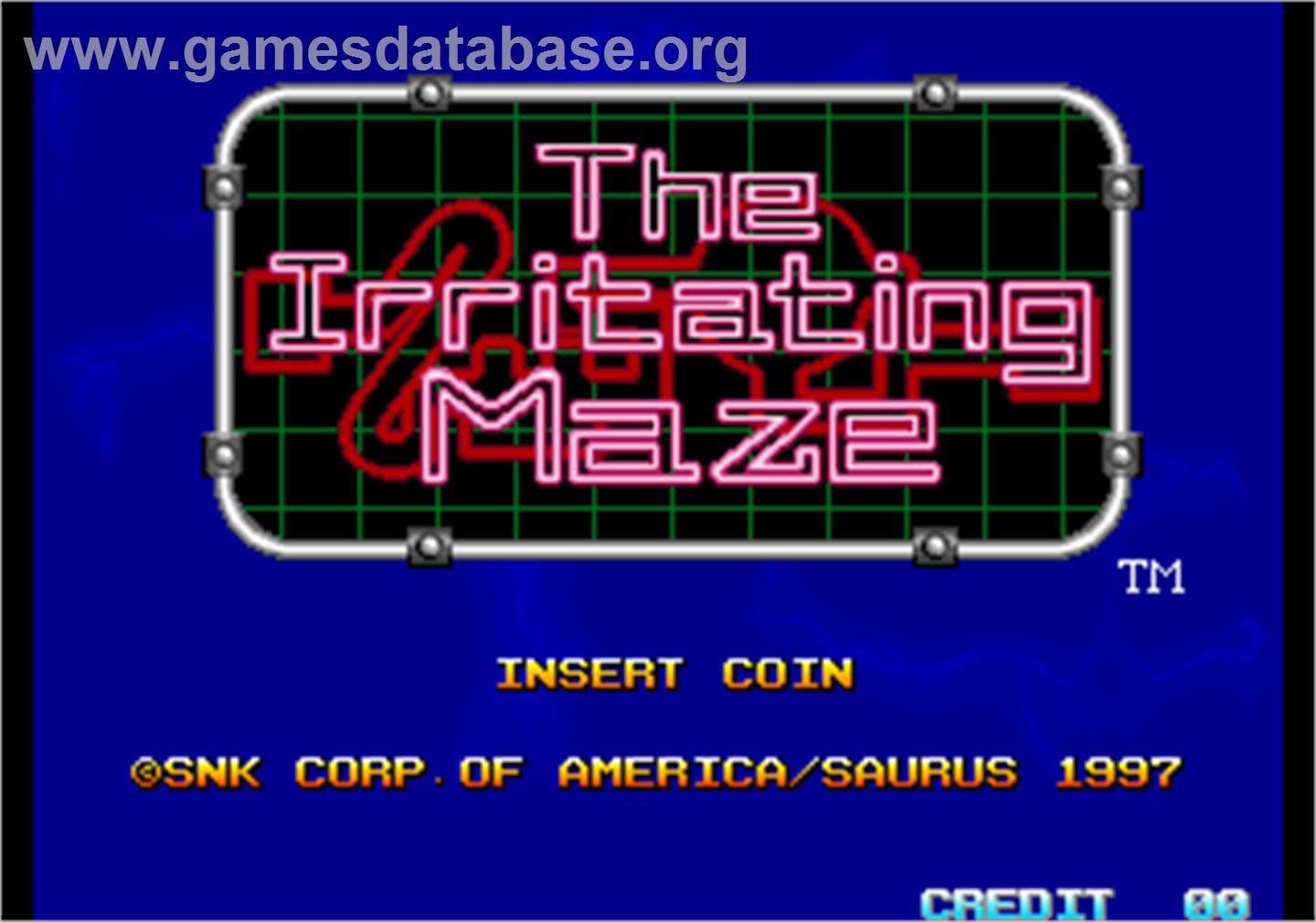 The Irritating Maze / Ultra Denryu Iraira Bou - Arcade - Artwork ...